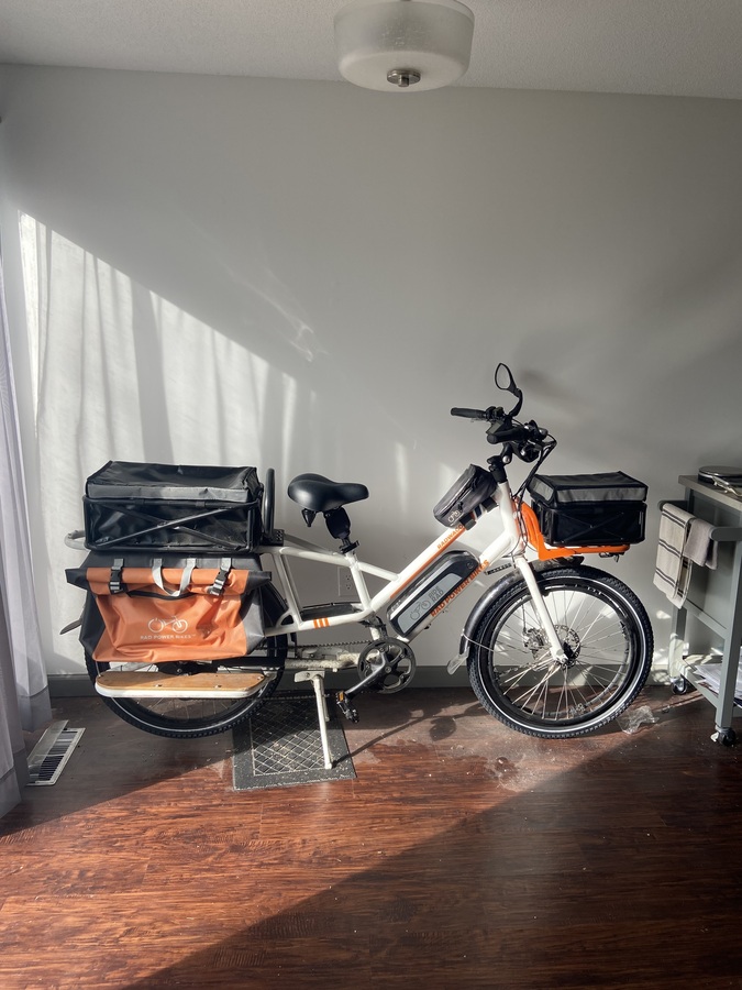 2019 Rad Power Bikes RadWagon cargo bike rear
