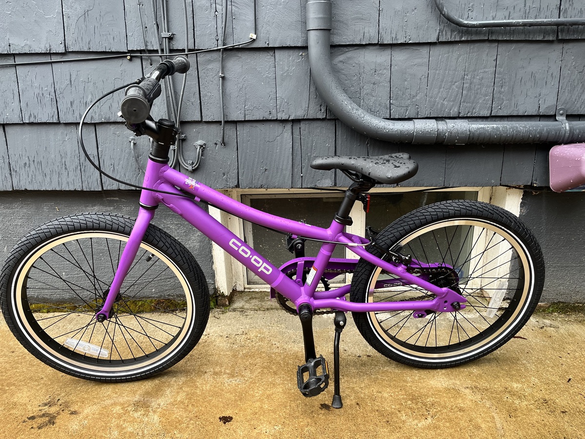 REI Co-op REV 20 Kid