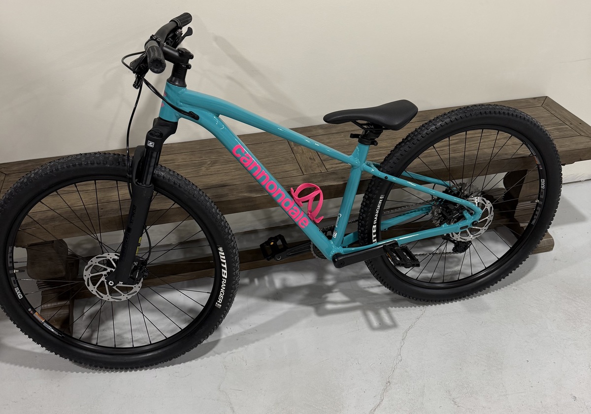 2025 Cannondale Trail 2