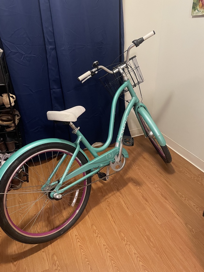 2020 Trek Townie Electra 3i