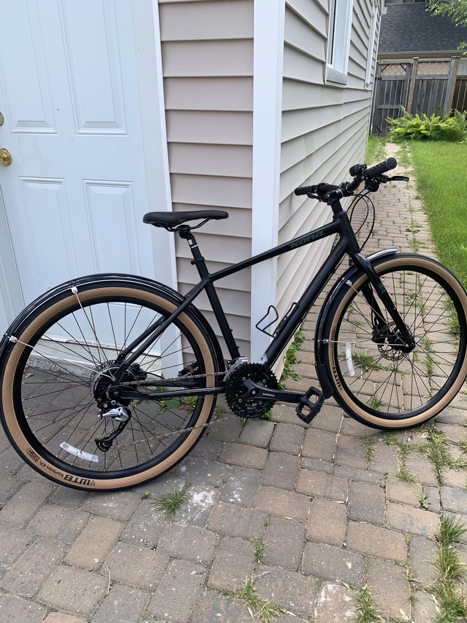 Stolen 2019 Kona