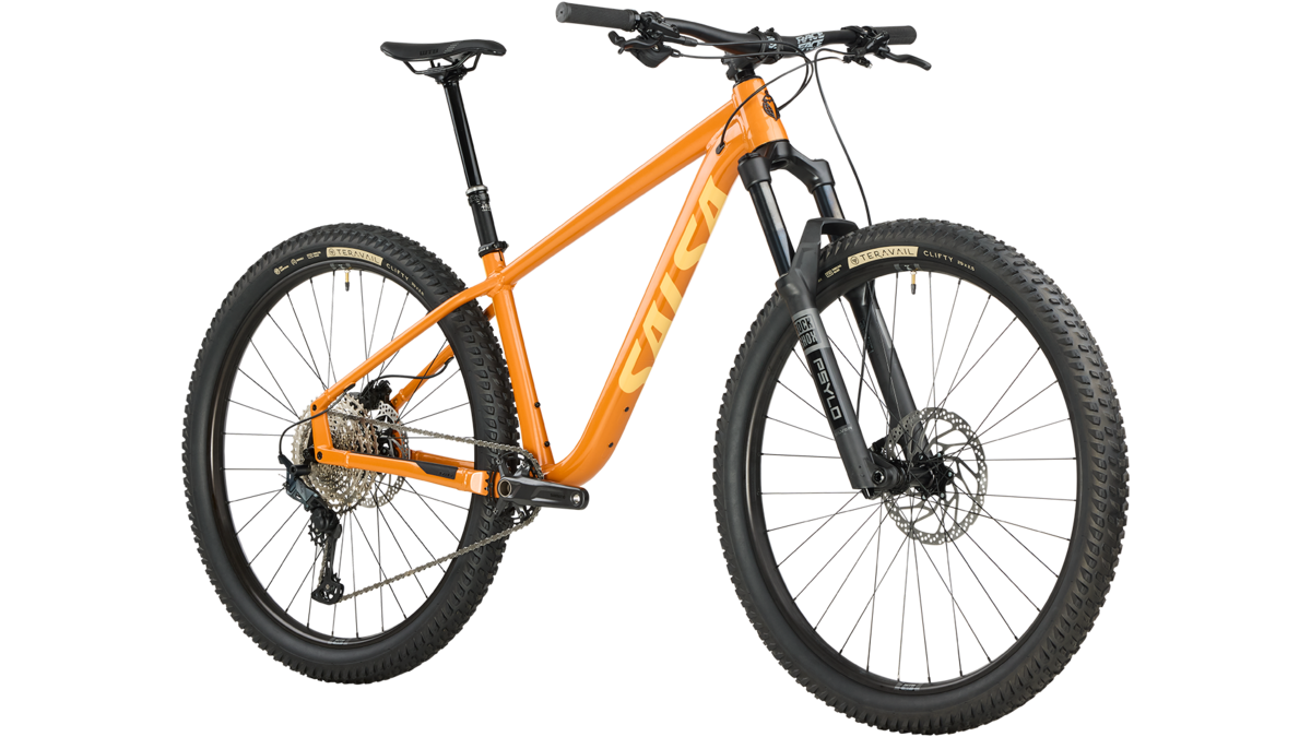 2025 Salsa Timberjack SLX 29