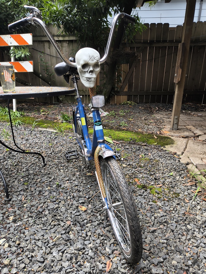 Worksman Cycles Pleasure cycle