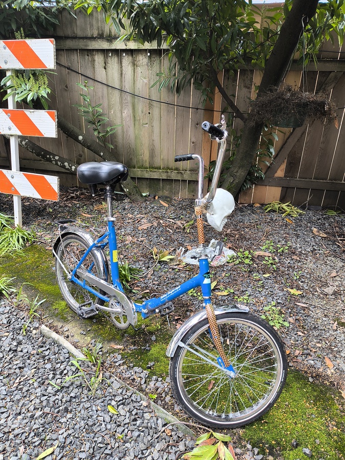 Worksman Cycles Pleasure cycle