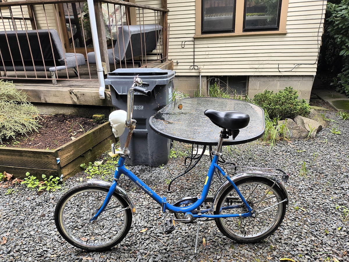Worksman Cycles Pleasure cycle