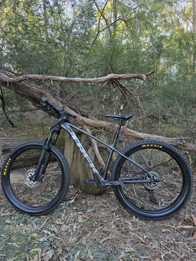 2021 Trek
