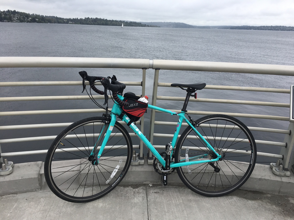 Stolen 2016 Trek Lexa S