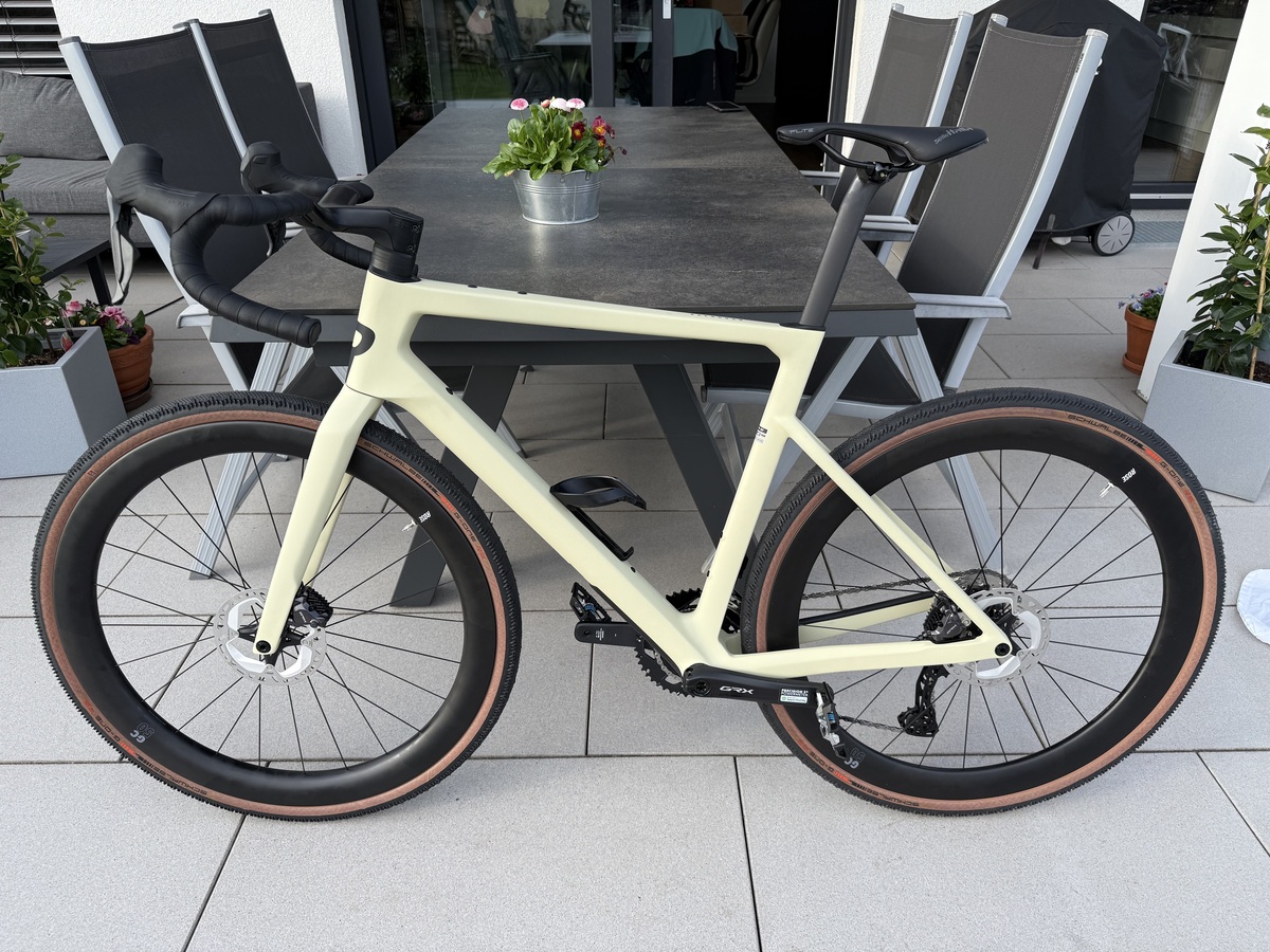 2024 Rose Backroad FF