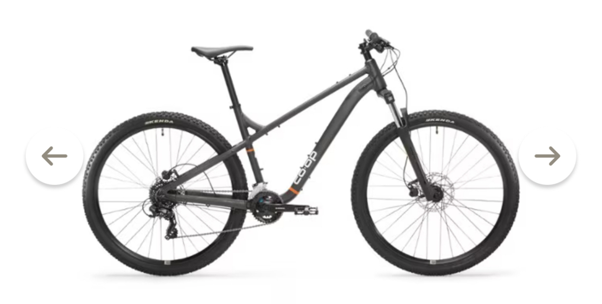 2025 REI Co-op DRT 1.1