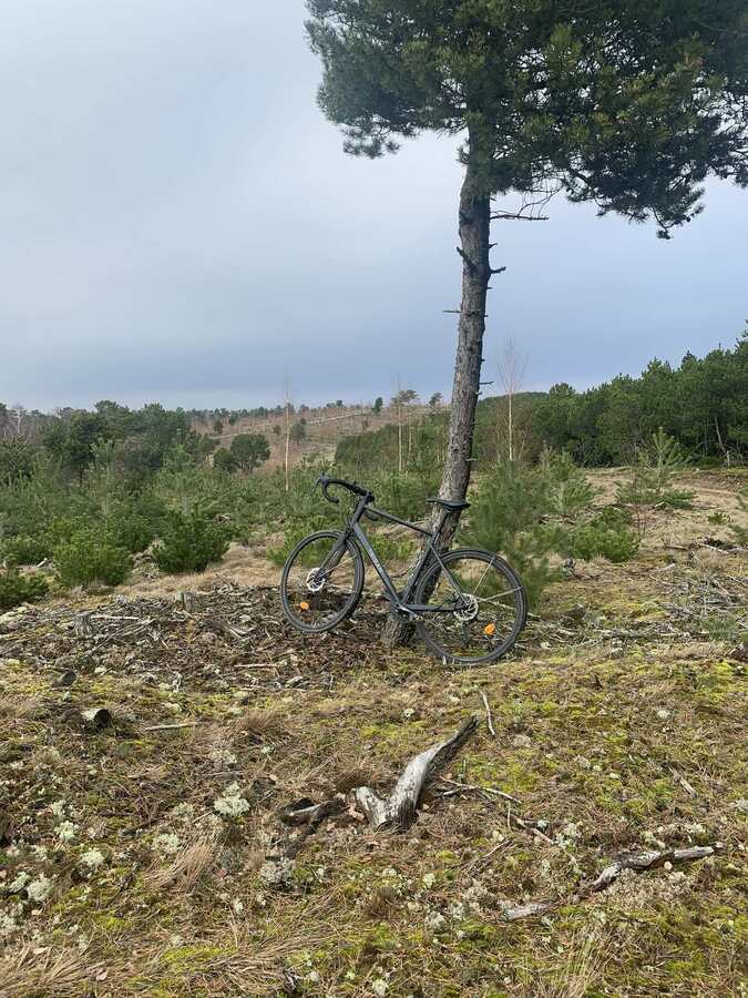 2022 Tribe Bicycle Co 6061 T6
