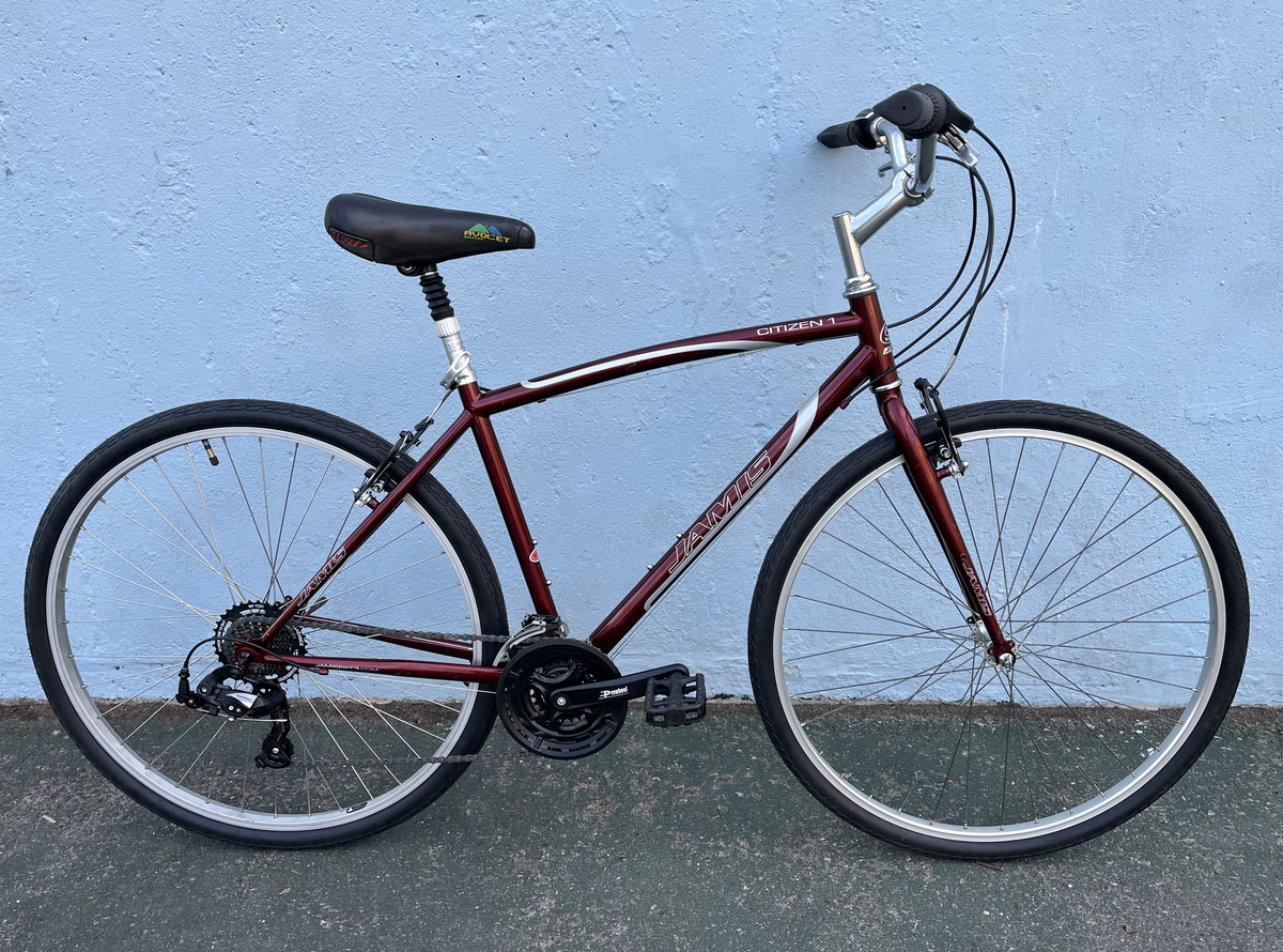 2012 Jamis Citizen 1