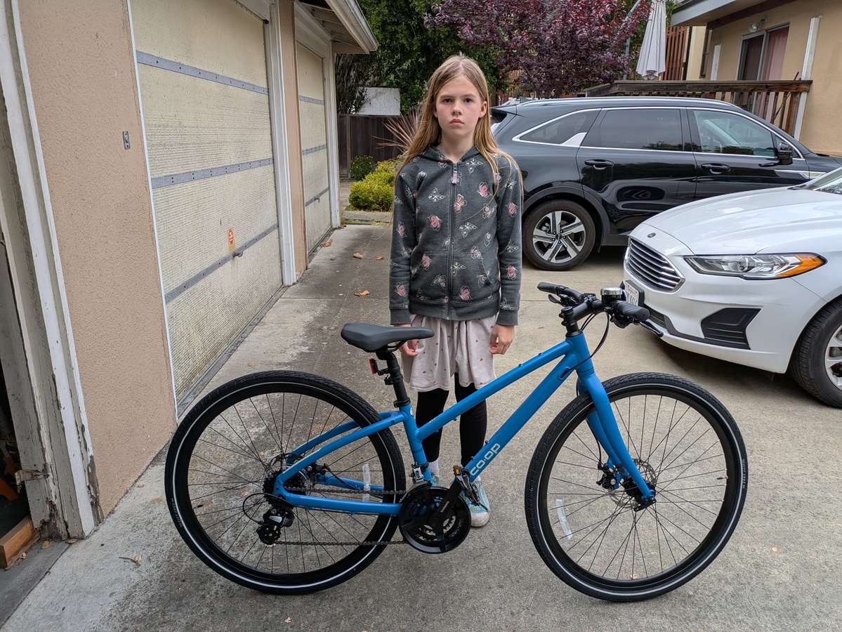 2024 REI Co-op CTY 1.1 Step-Through
