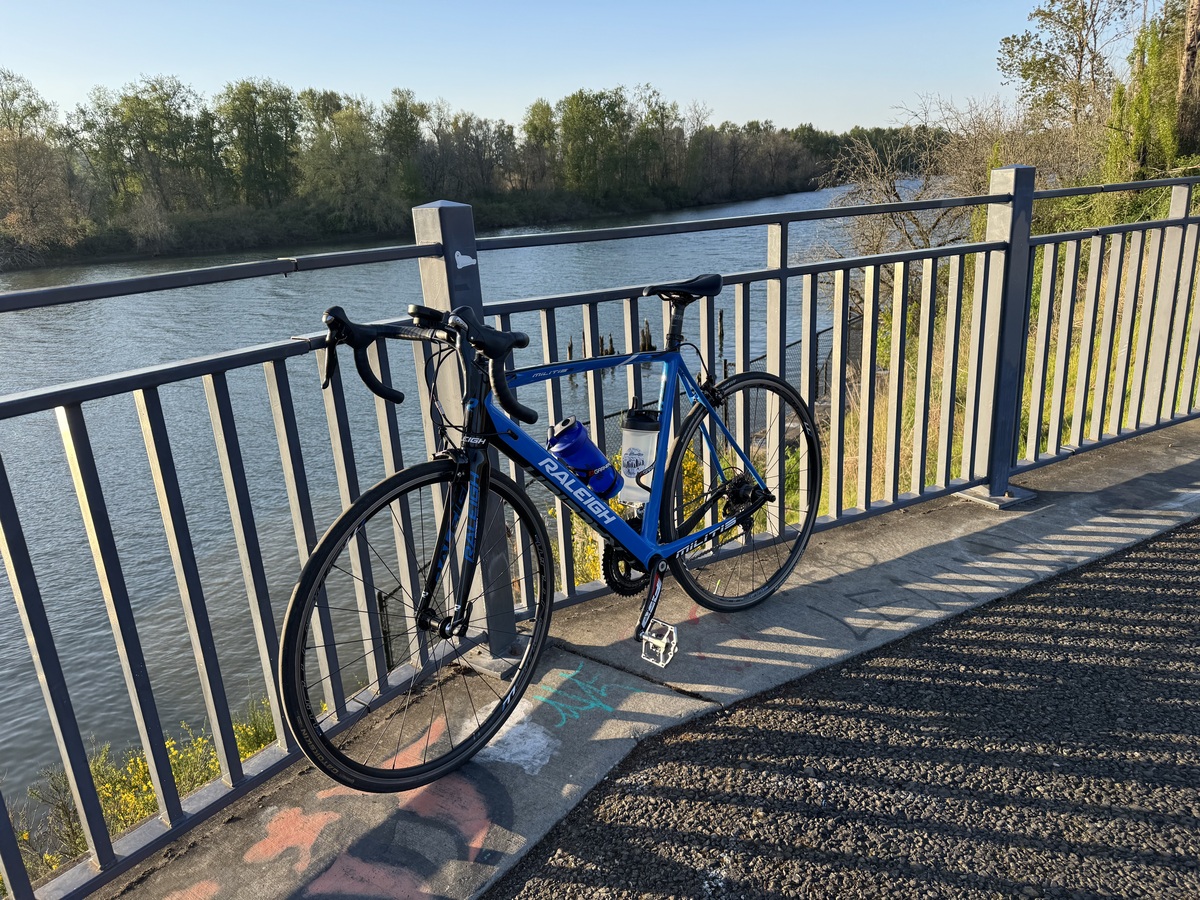 2012 Raleigh Militis
