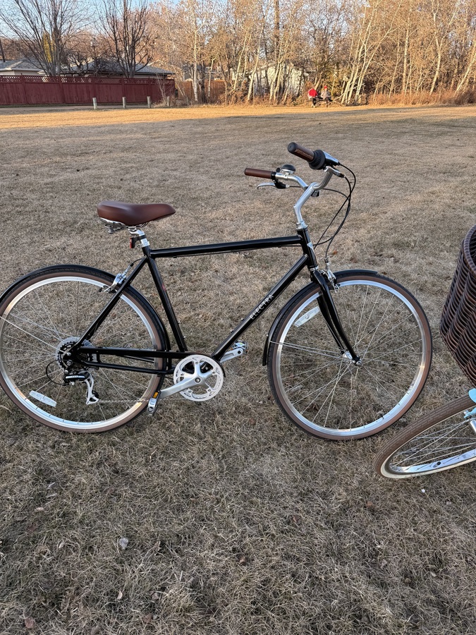 2025 Electra Loft 7D