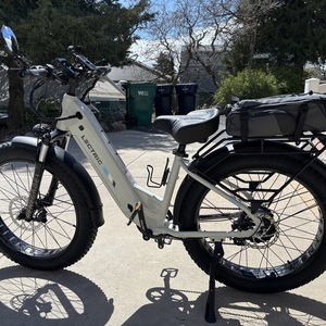 2025 Lectric eBikes Xpeak 2.0 Step Thru
