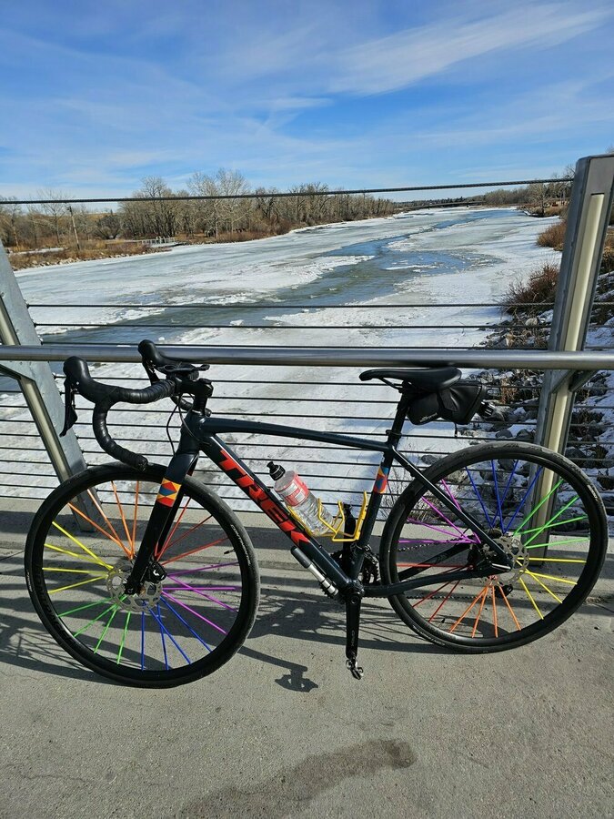 2023 Trek TREK 2023 Checkpoint ALR 5