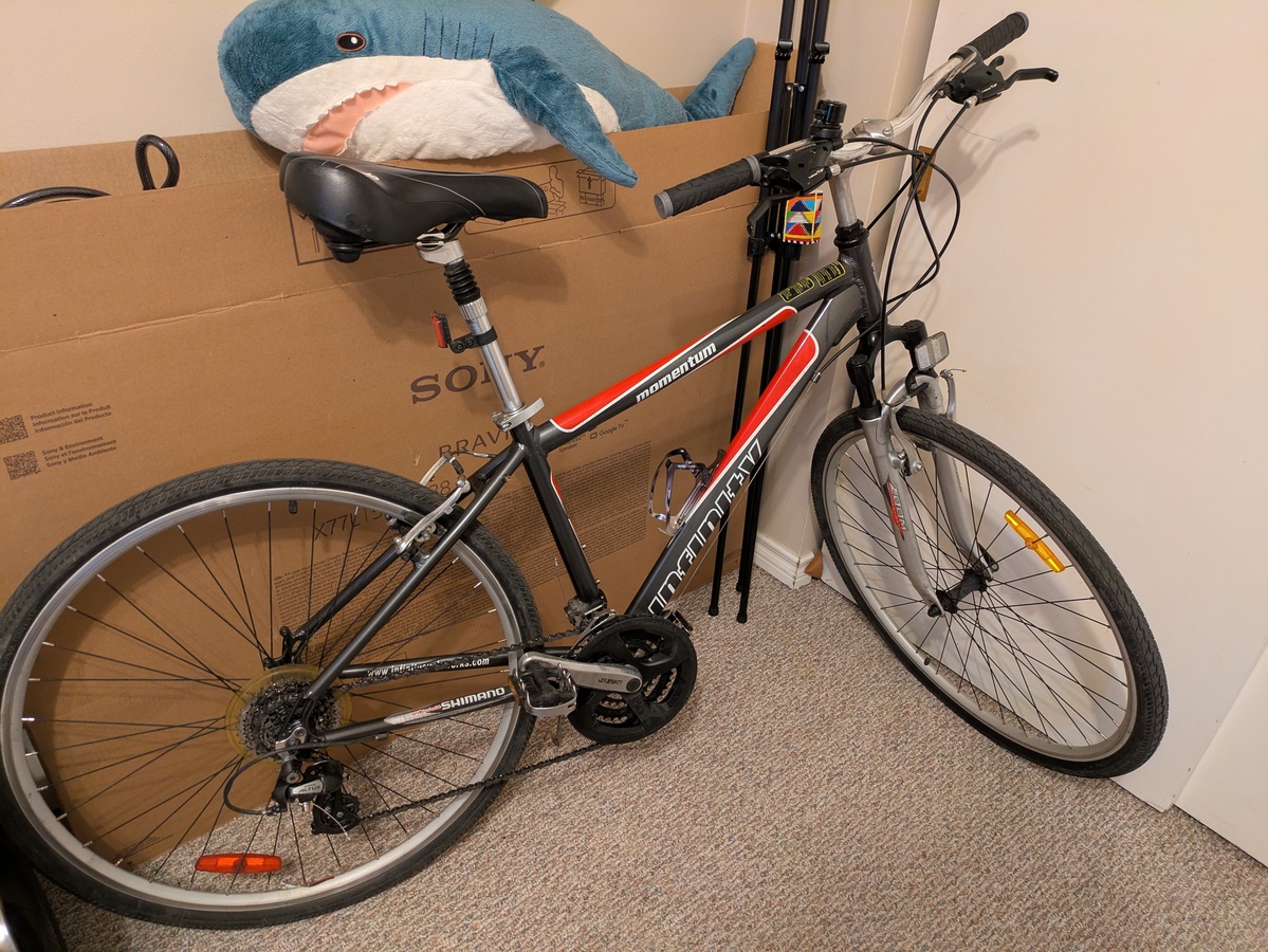 Infinity Cycle Works Momentum