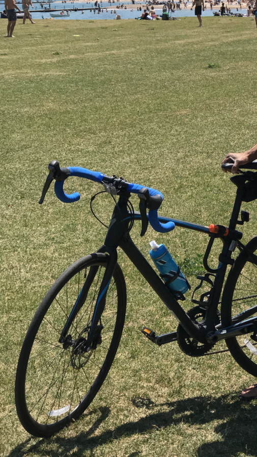 Stolen 2016 Specialized Ruby