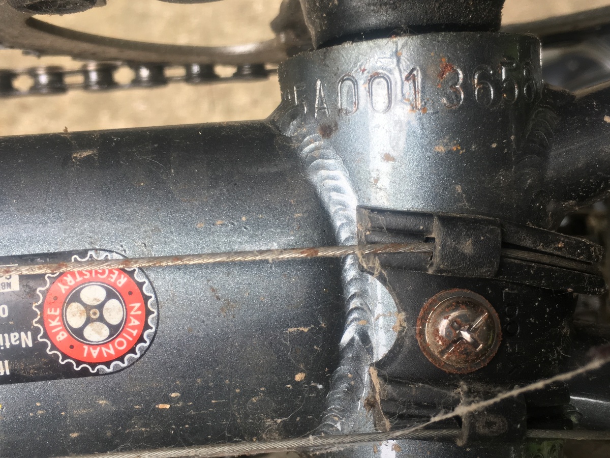 2009 Raleigh Companion tandem