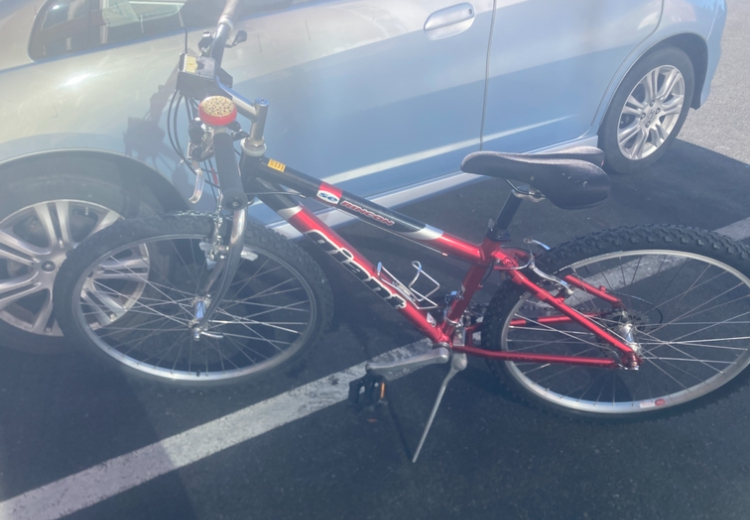 Stolen 2001 Giant SE Rincon