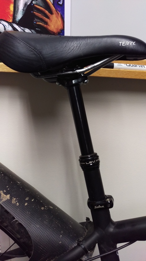 2017 Salsa Timberjack