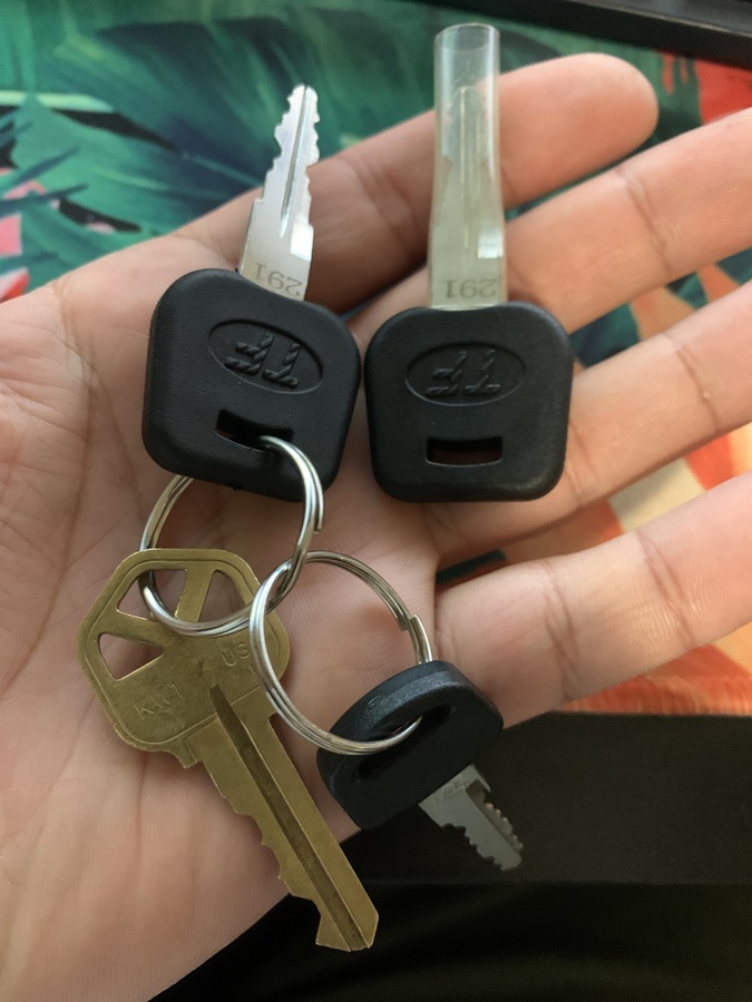 Stolen 2025 Colorway BK7M-CW-BLACK-LV