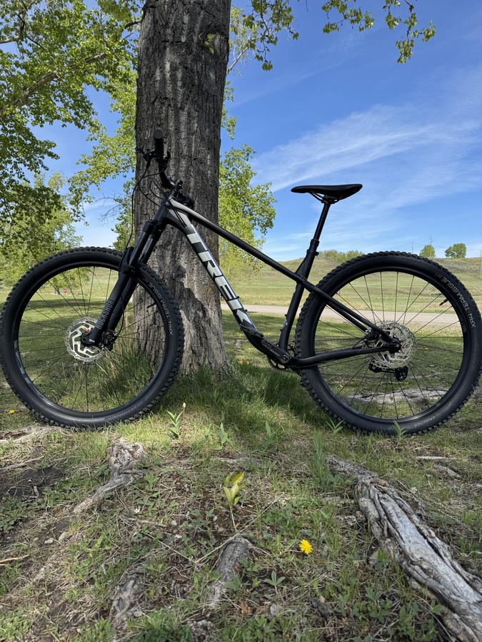 2023 Trek Alpha Gold Aluminum, tapered head tub...