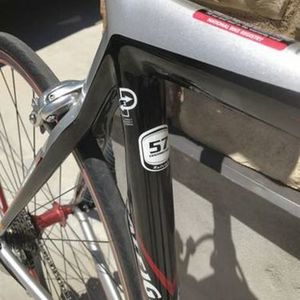 2009 Raleigh Prestige