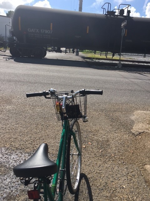 Stolen Cignal Ladies bike