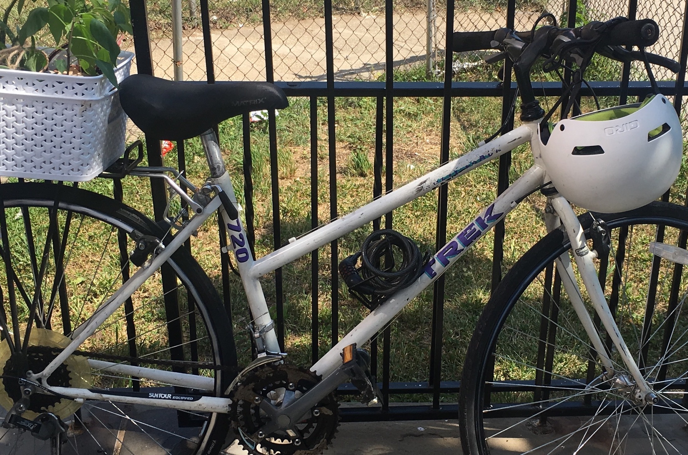 Stolen 1990 Trek 720