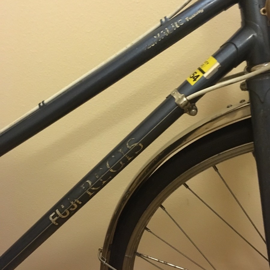 1985 Fuji Regis Lady