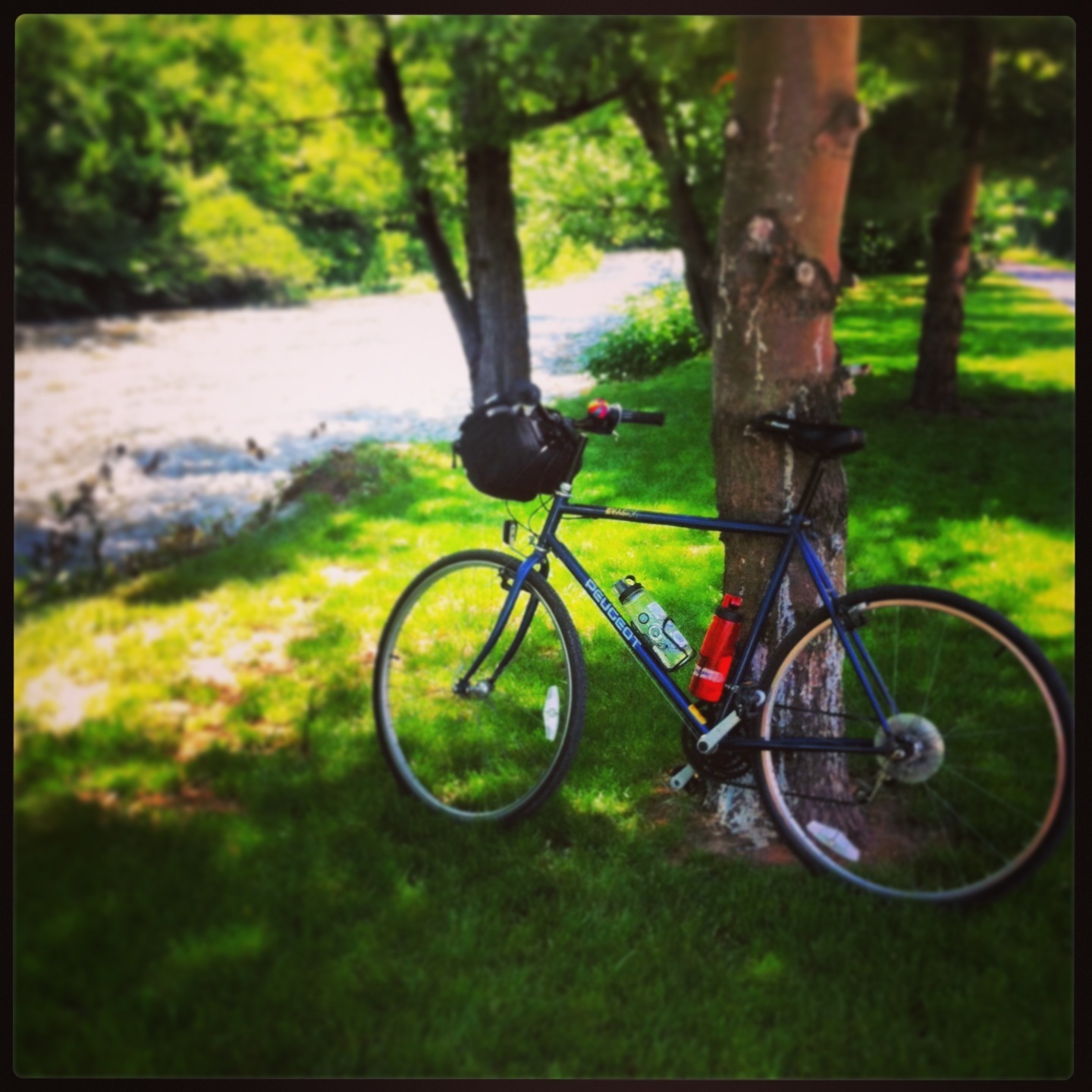 2006 Marin Bikes 7005 Alloy Edge Tubing Tech, Venezia