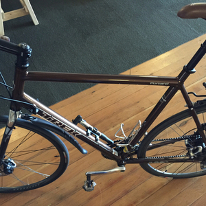 2009 Trek Portland
