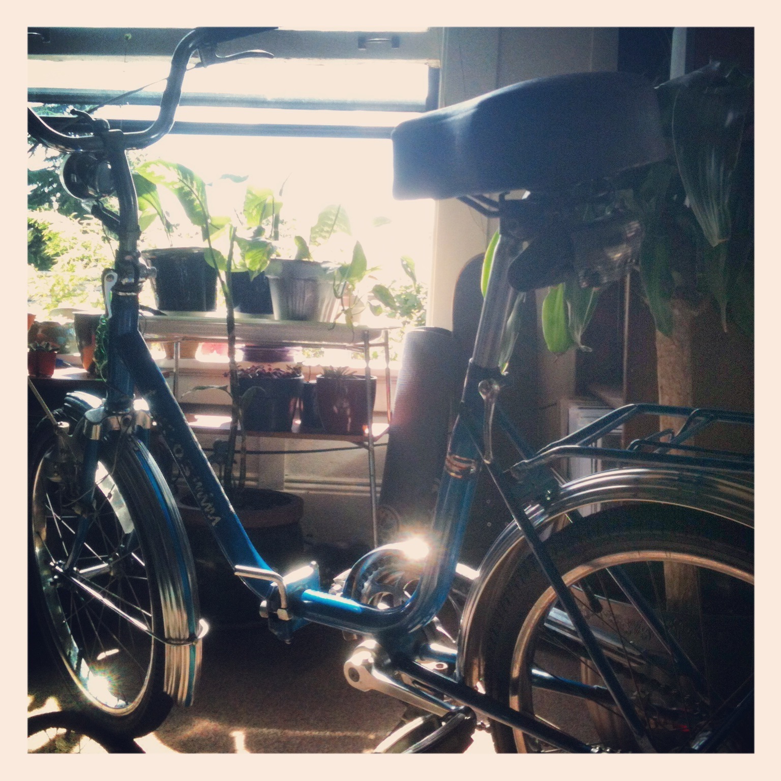1970 Tomos Mini