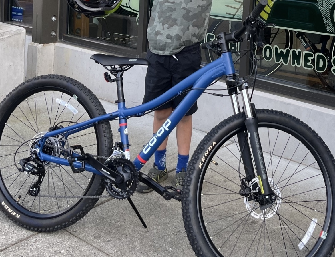 Stolen 2023 REI Co-op drt 1.0