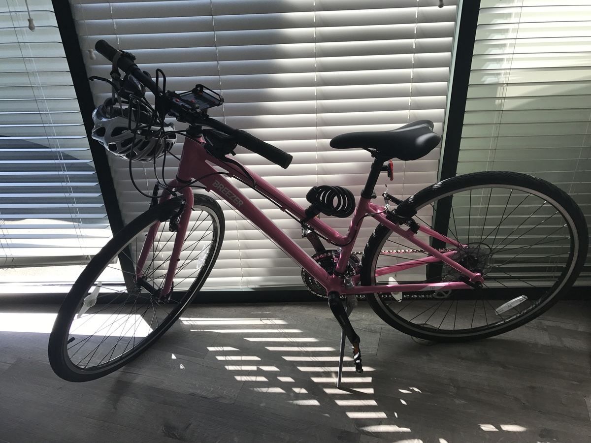 2017 Breezer discovery 3