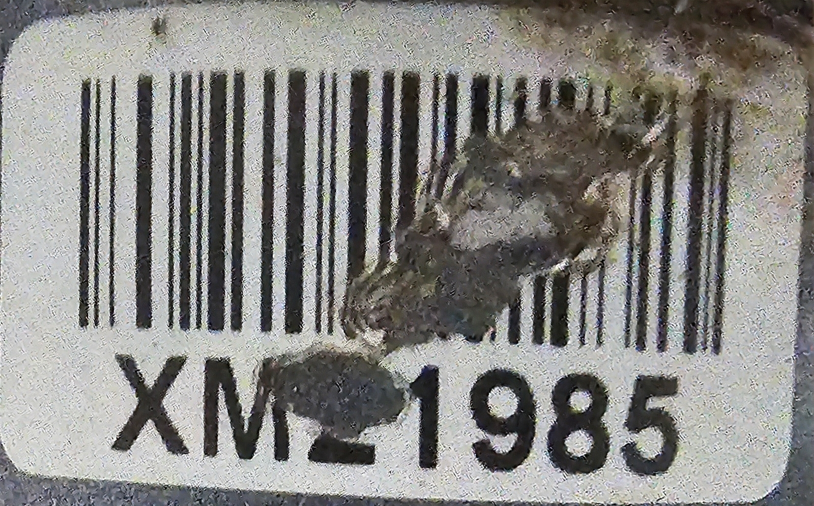 2023 Cannondale Xm21985