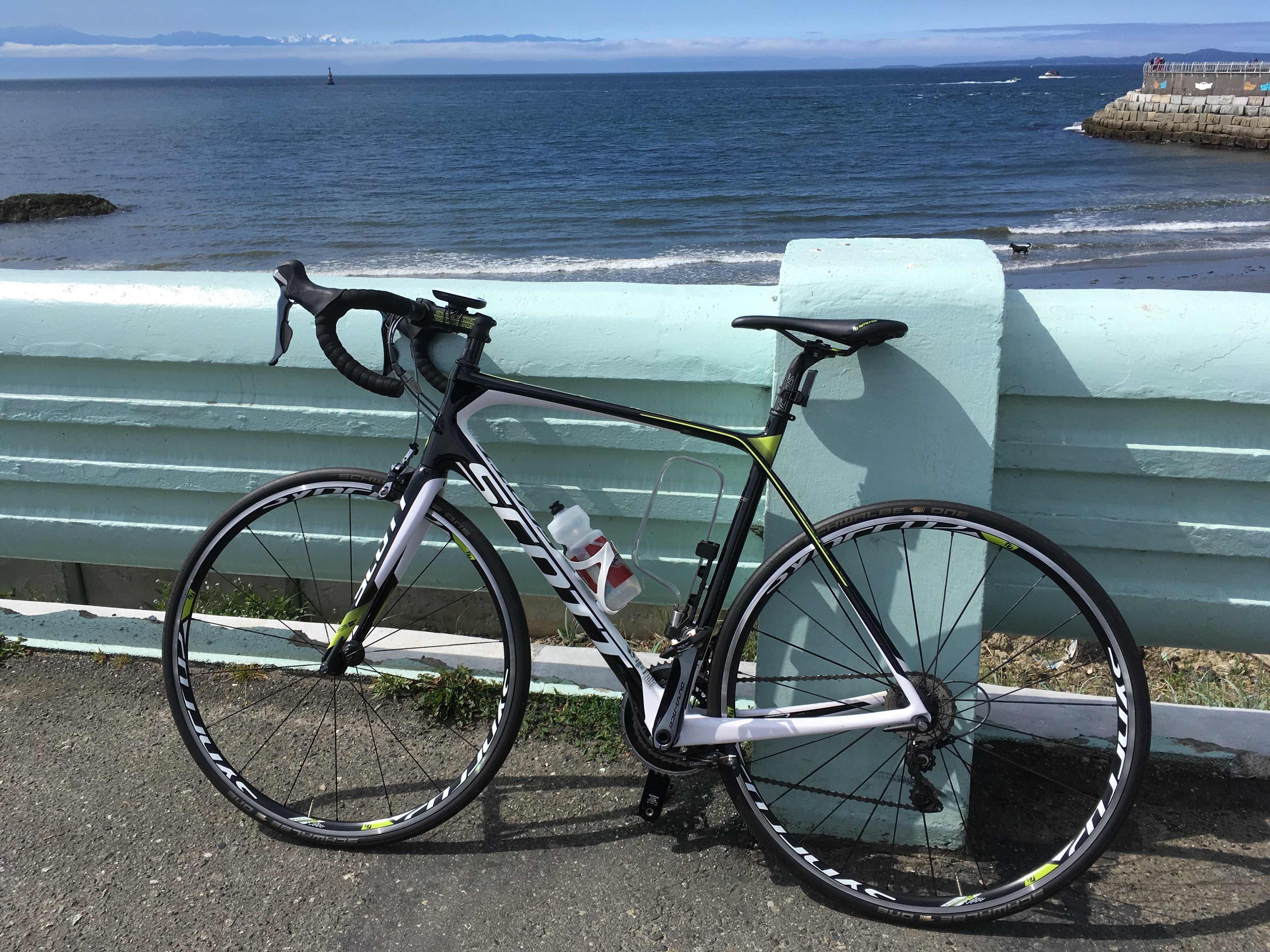 2014 SCOTT Solace 10