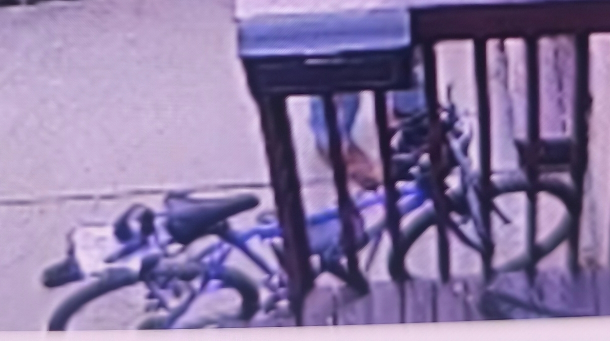 Stolen 1990 Diamondback Ascent EX