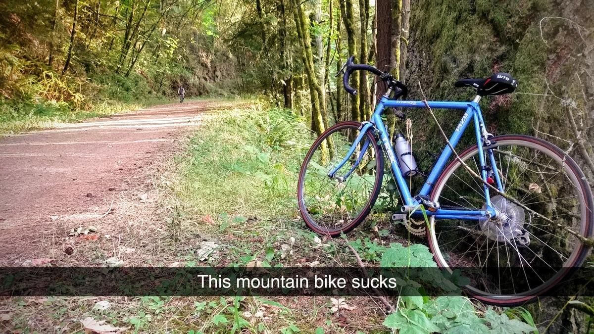 Stolen 1993 Trek 1420