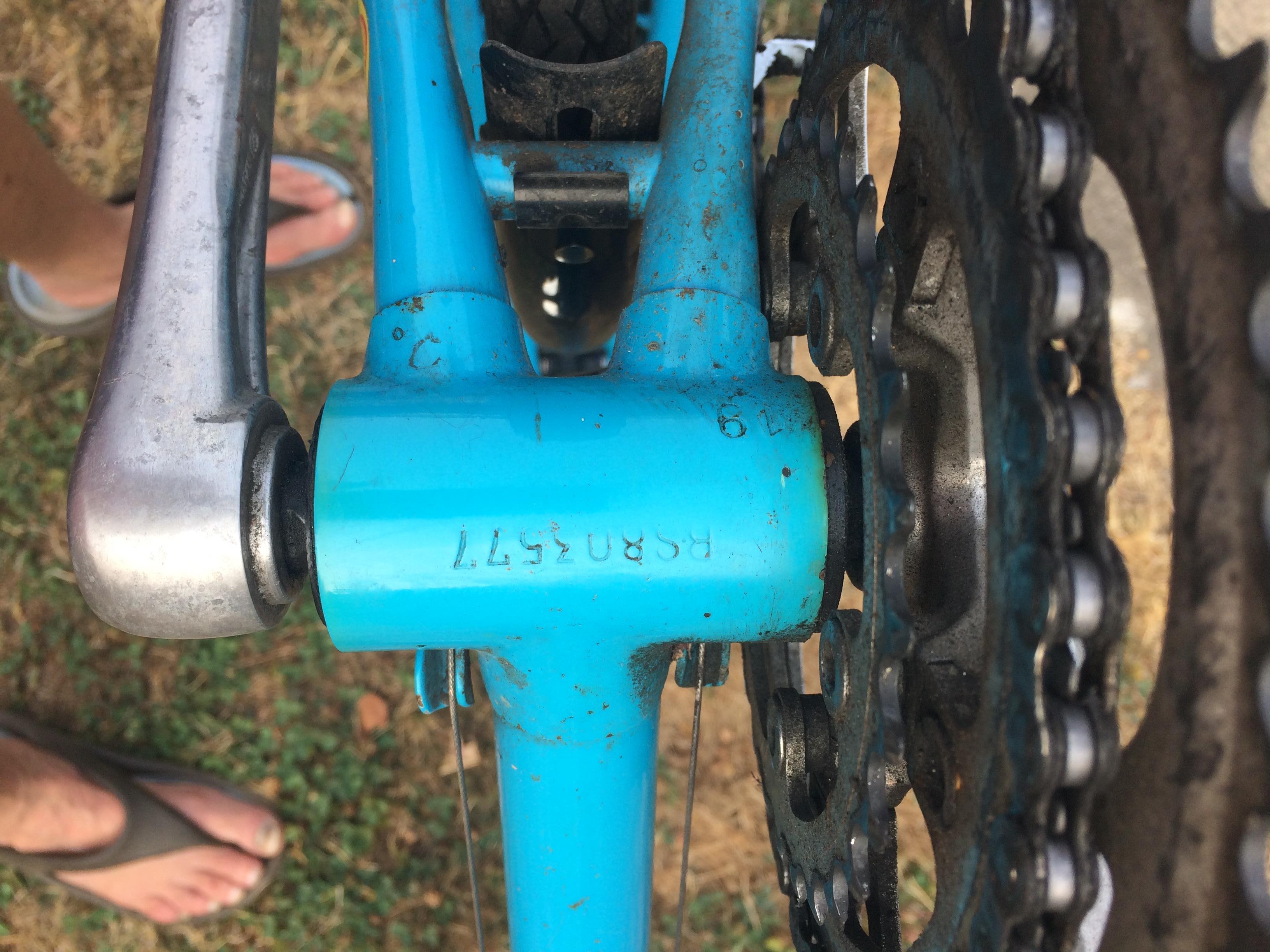 Bianchi Volpe