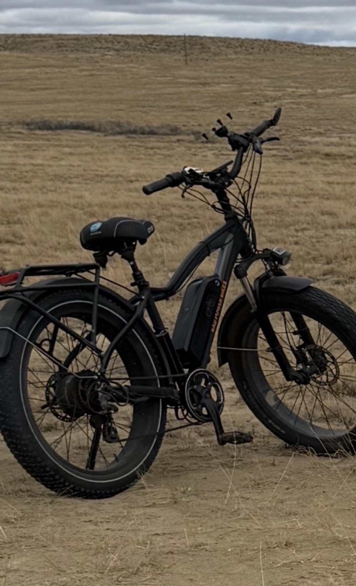 Stolen 2021 Rad Power Bikes step over