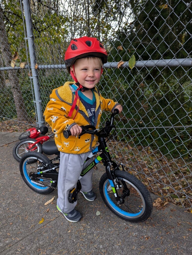 Stolen 2024 Guardian 14 Inch Bike