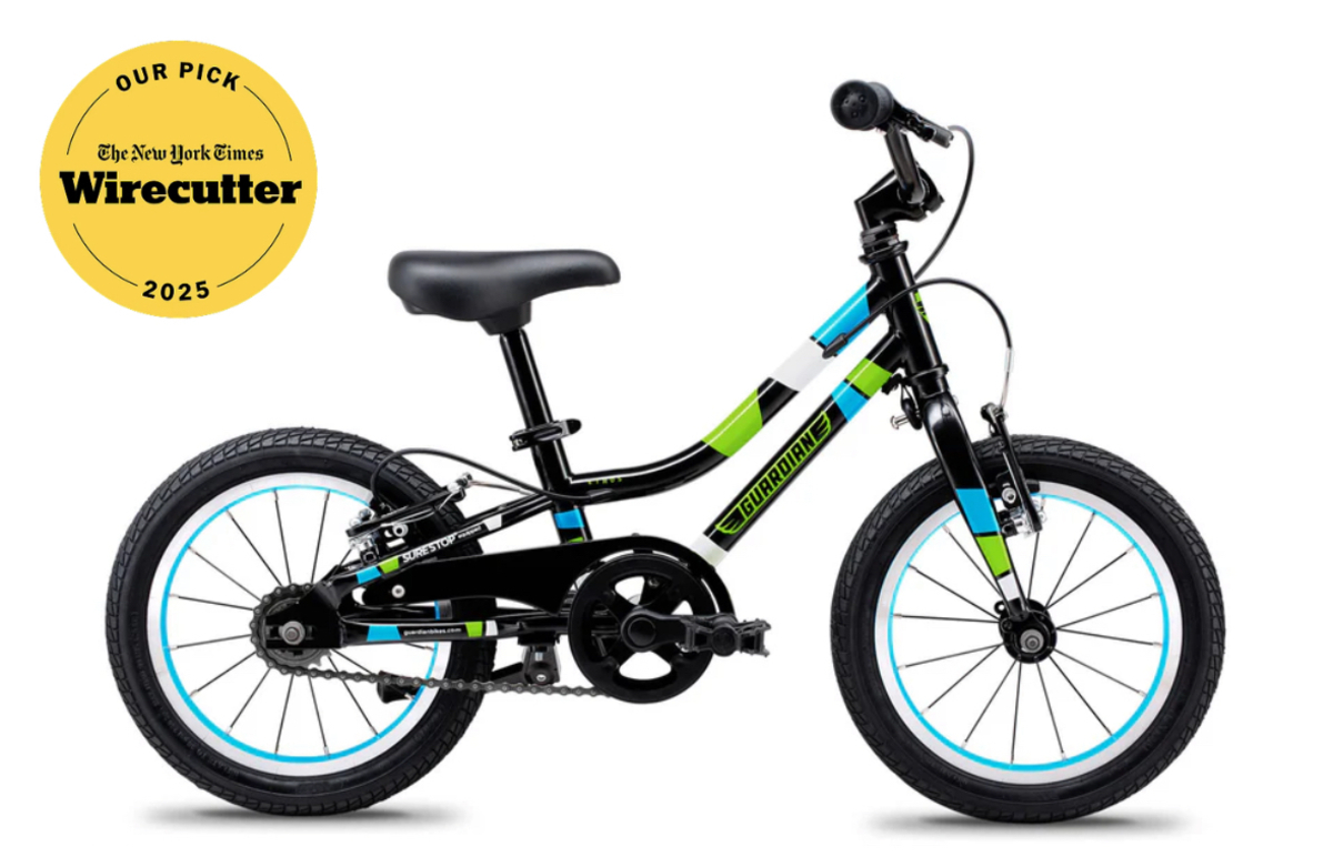 Stolen 2024 Guardian 14 Inch Bike