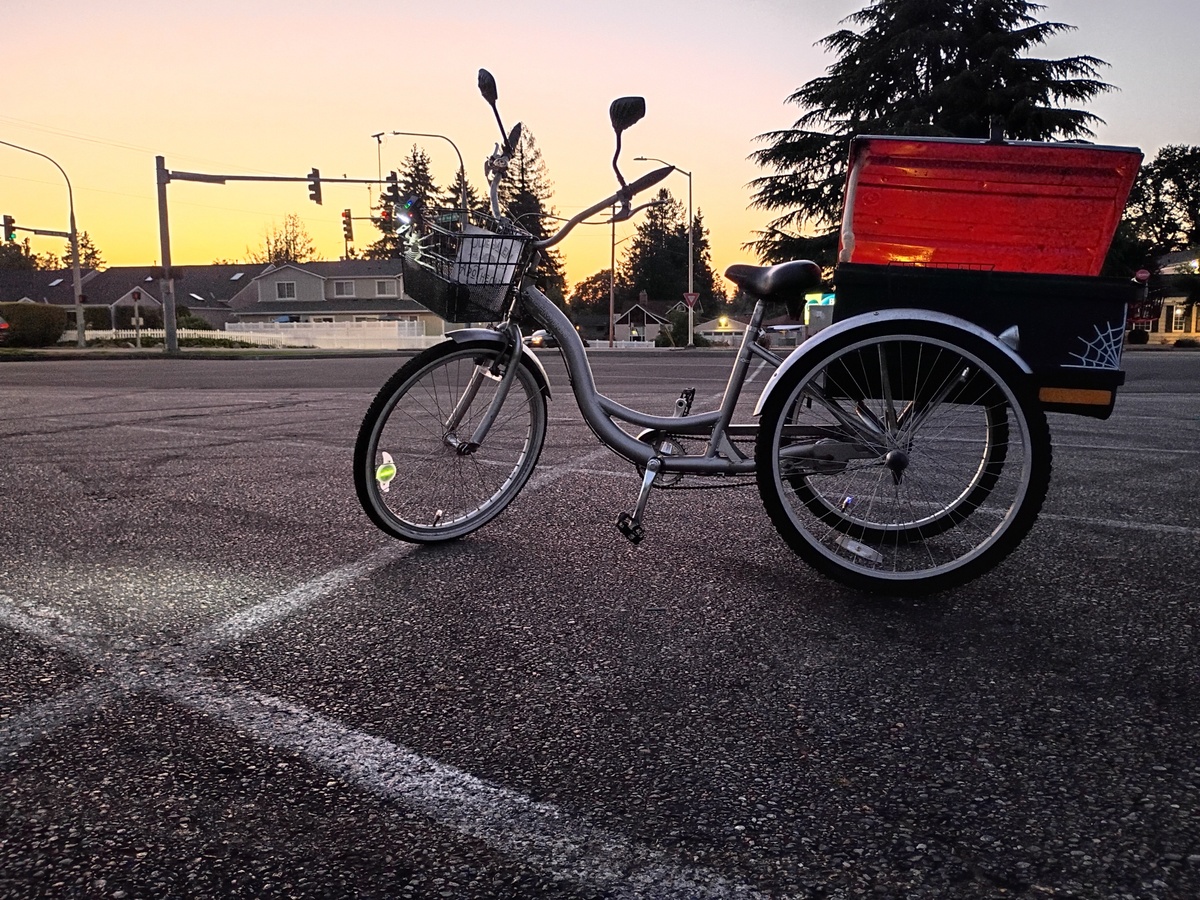 Stolen 2025 Schwinn Merridan tricycle